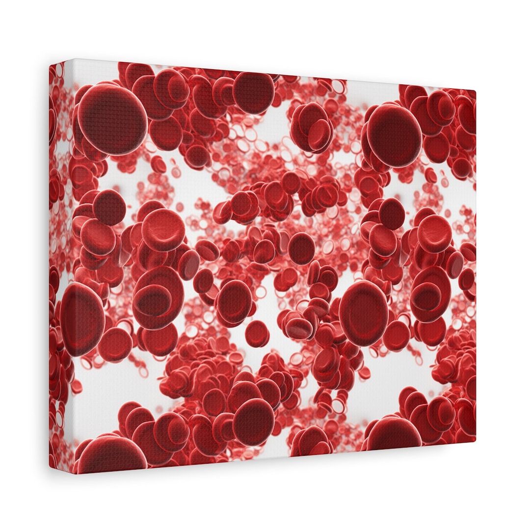 Red Blood Cells Matte Canvas, Stretched, 1.25", 9 Sizes - Etsy