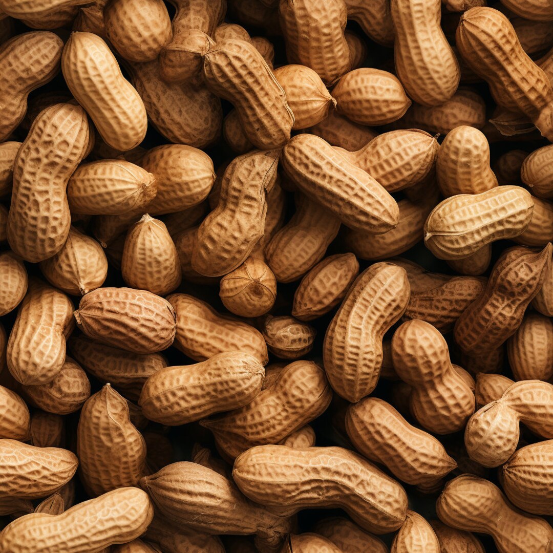 Bar Peanuts: Stunning Seamless Tile Art - Perfect for Backgrounds and ...