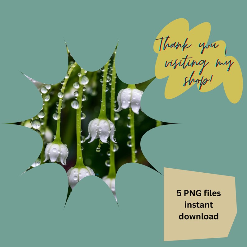 Dew-drenched Spider Web: Lily of the Valley Delight - Etsy