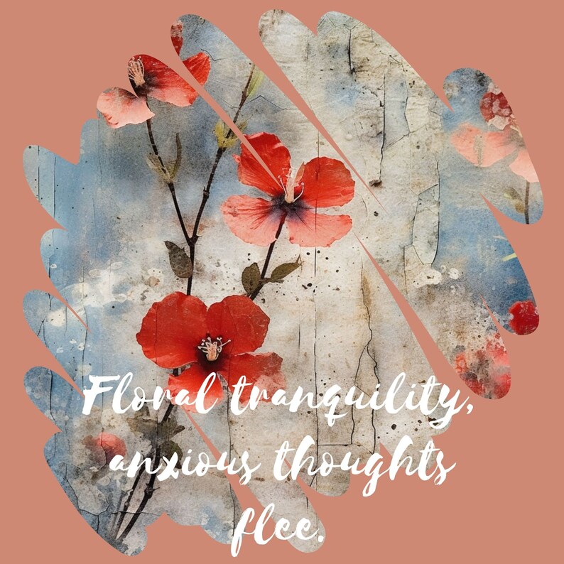 Zen Zone: Quotes and Images to Relax and Reduce Anxiety - Etsy