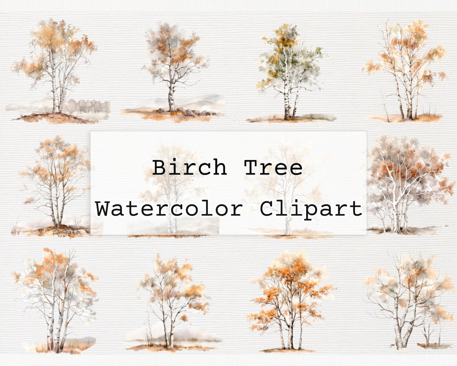 Birch Tree Clipart Watercolor Png Birch Tree Forest Commercial License ...