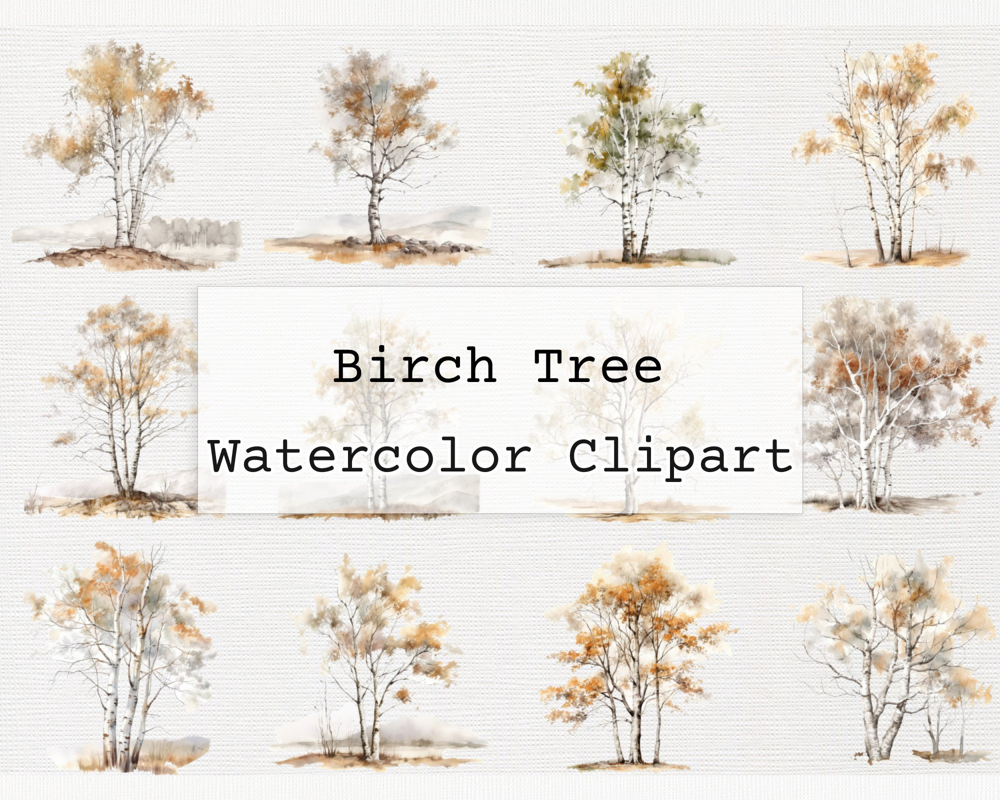 Birch Tree Clipart Watercolor Png Birch Tree Forest Commercial - Etsy