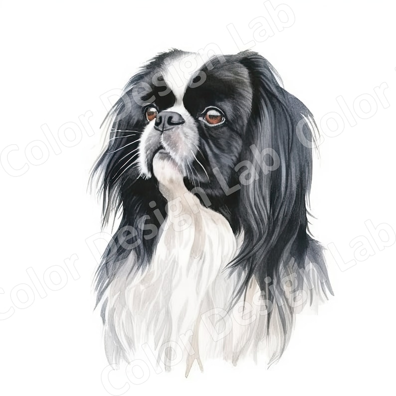Composed Japanese Chin Clipart Set 8 Printable Images - Etsy