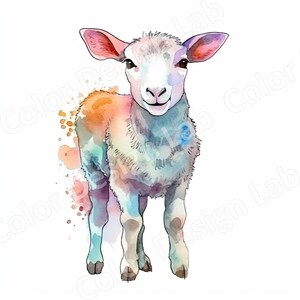 Lamb Clipart Set, 8 Cutest High-resolution Lambs Pngs, Digital Download ...
