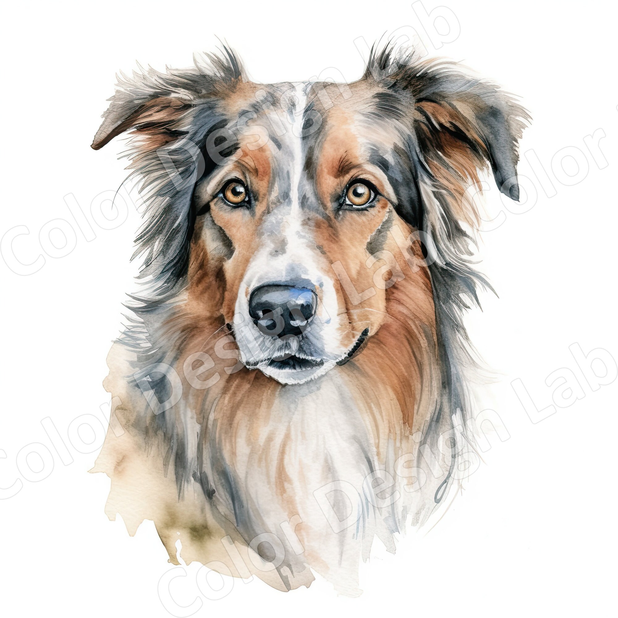 Australian Shepherd Clipart Loyal Aussie Set of 8 Printable - Etsy