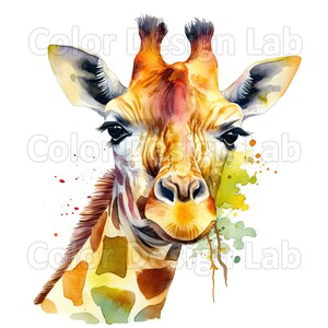 Cute Giraffe Clipart Set - 8 Digital Printable PNG, Cute Giraffe Art ...