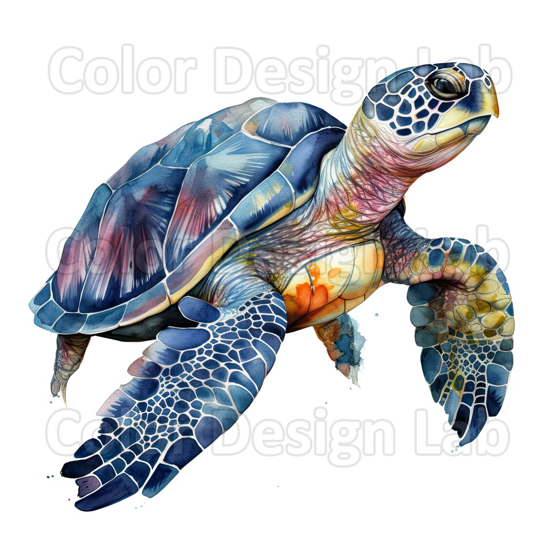 Sea Turtle Printable Clipart 8 Pngs Digital Download - Etsy