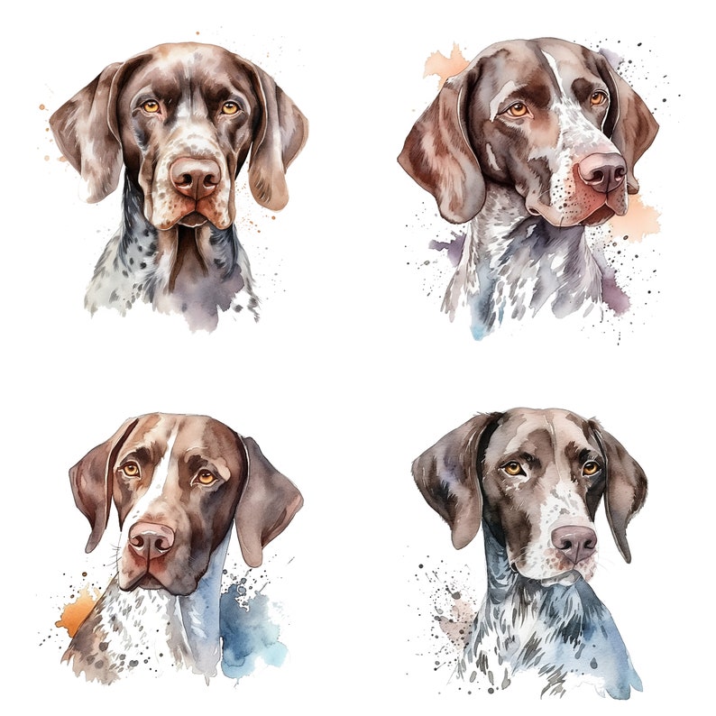 German Shorthaired Pointer Watercolor Art Print Dog Portrait - Etsy