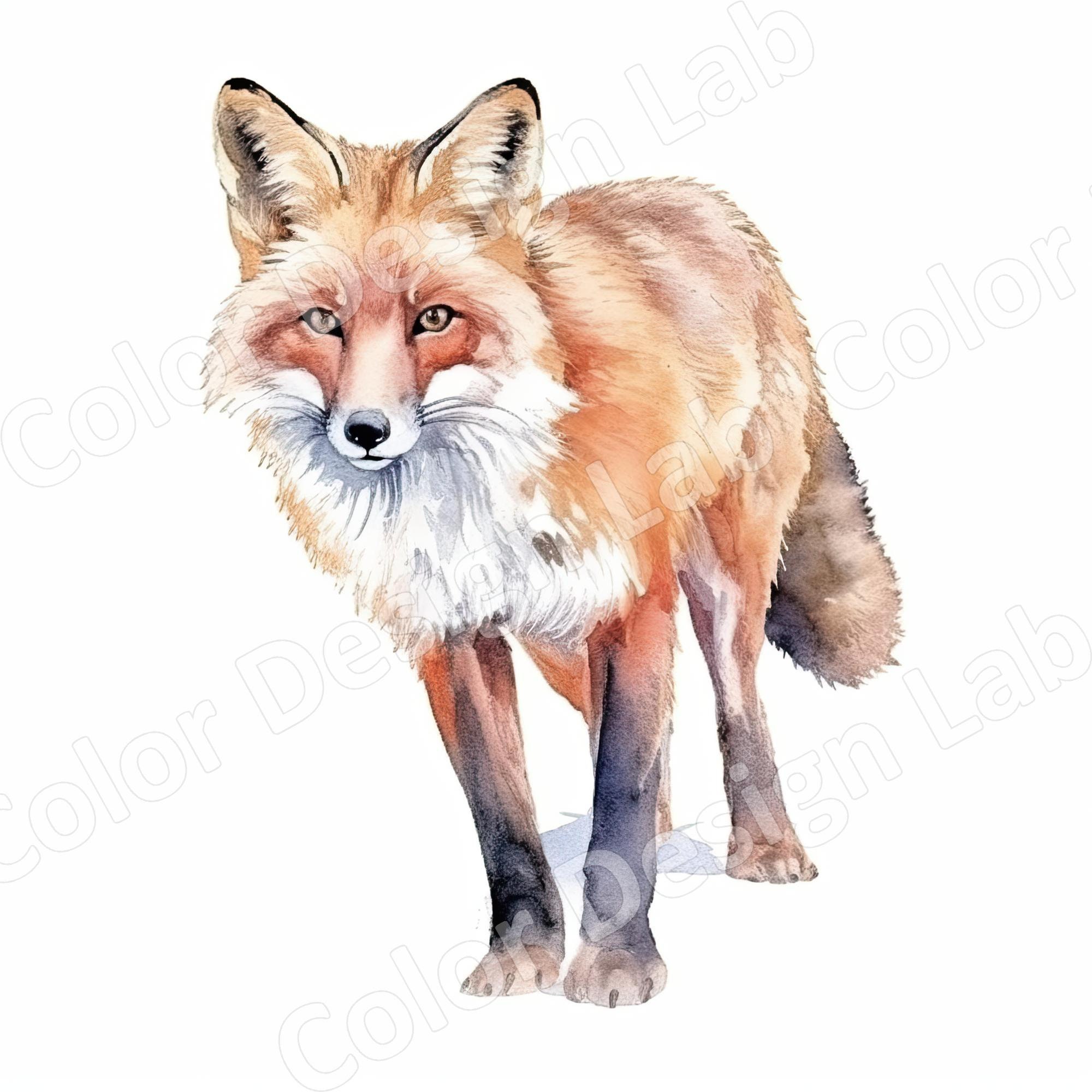 Fox Clipart Design Cunning Animal Art Vibrant Red and Bushy - Etsy