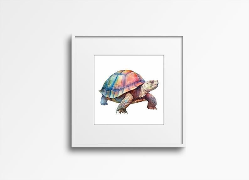 Tortoise Printable Clipart Set of 8 High-resolution Tortoise - Etsy