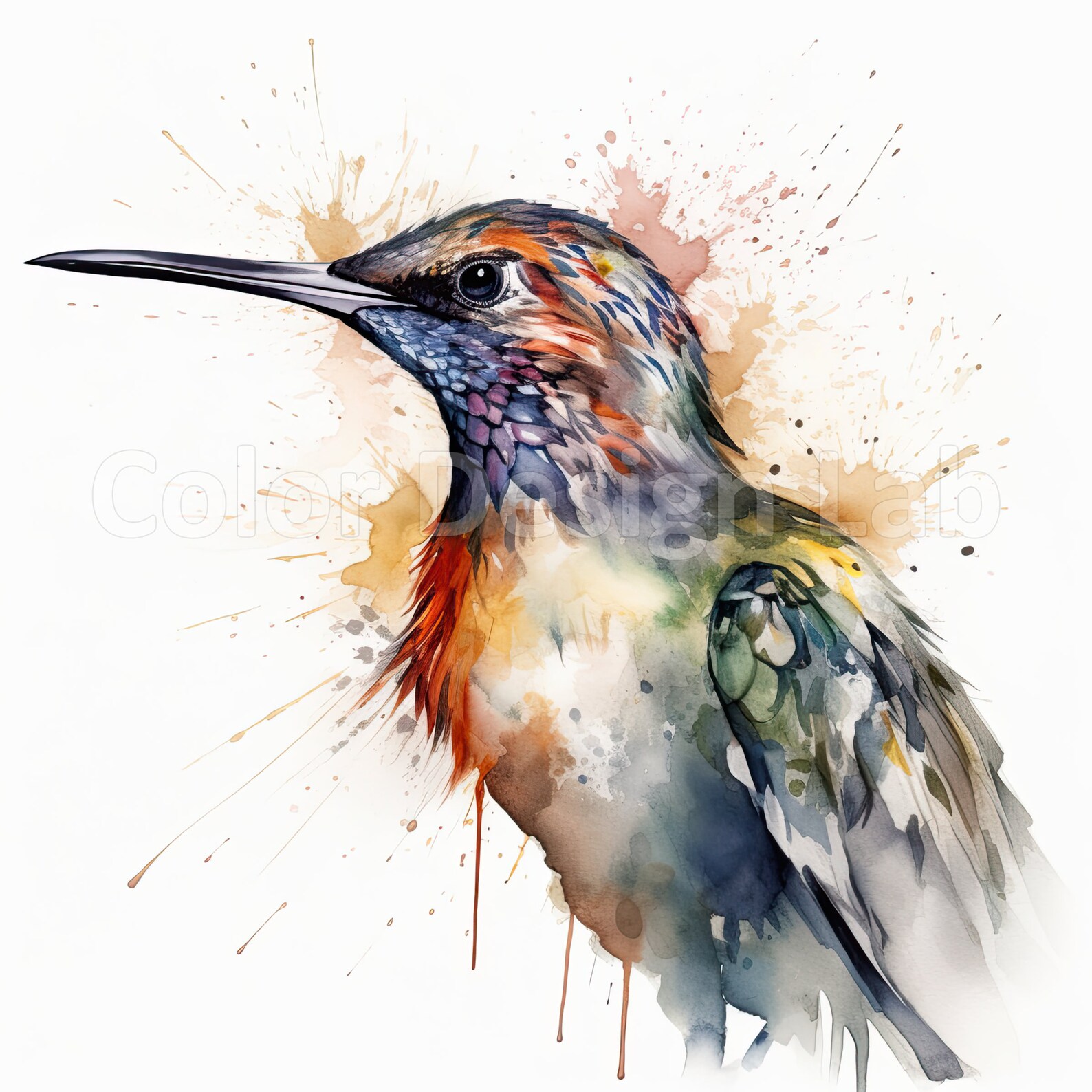 Hummingbird Clipart Set 8 Feathered Hummingbird Digital - Etsy