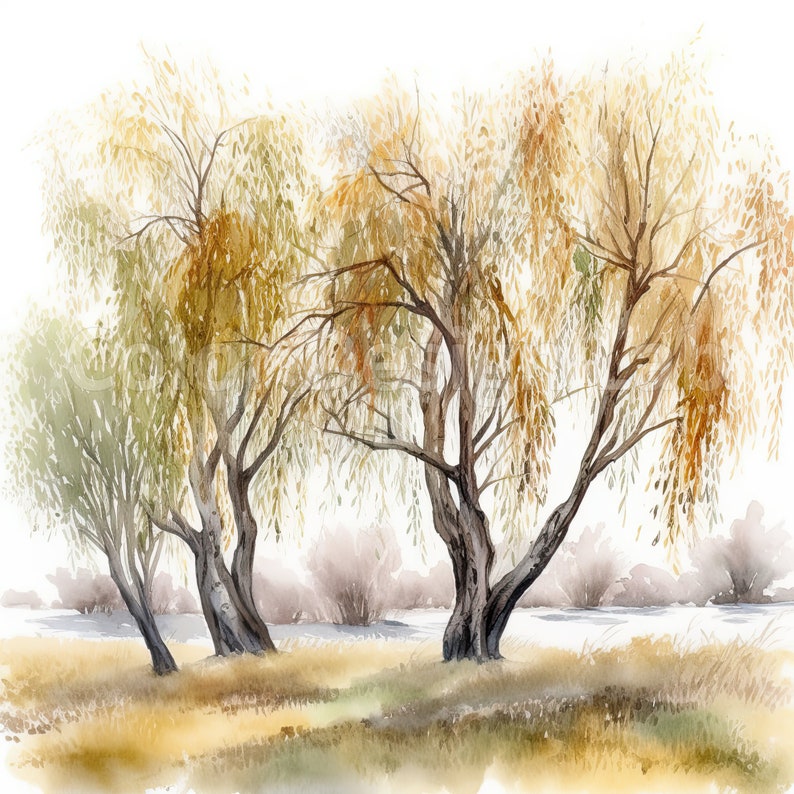 Whispering Willow Trees Clipart Instant Digital Download - Etsy