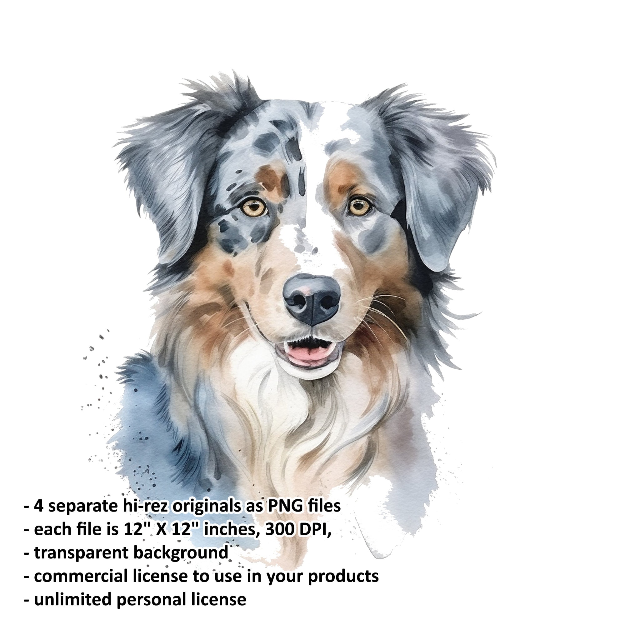 Australian Shepherd Watercolor Art Print Energetic Dog - Etsy