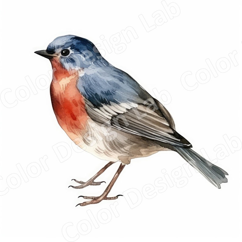 Christmas Robin Printable Clipart Set 8 High-resolution Pngs - Etsy