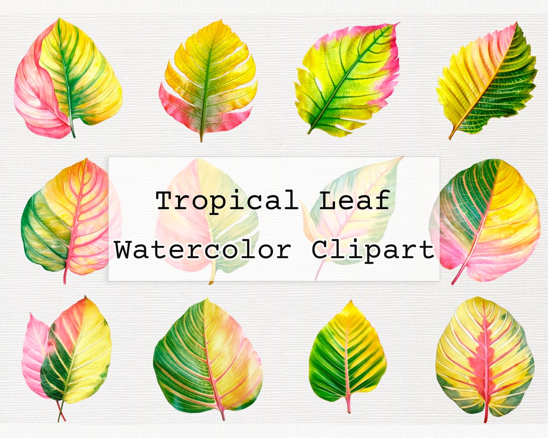 Tropical Leaf Clipart Watercolor PNG Tropical Leaf Commercial License ...