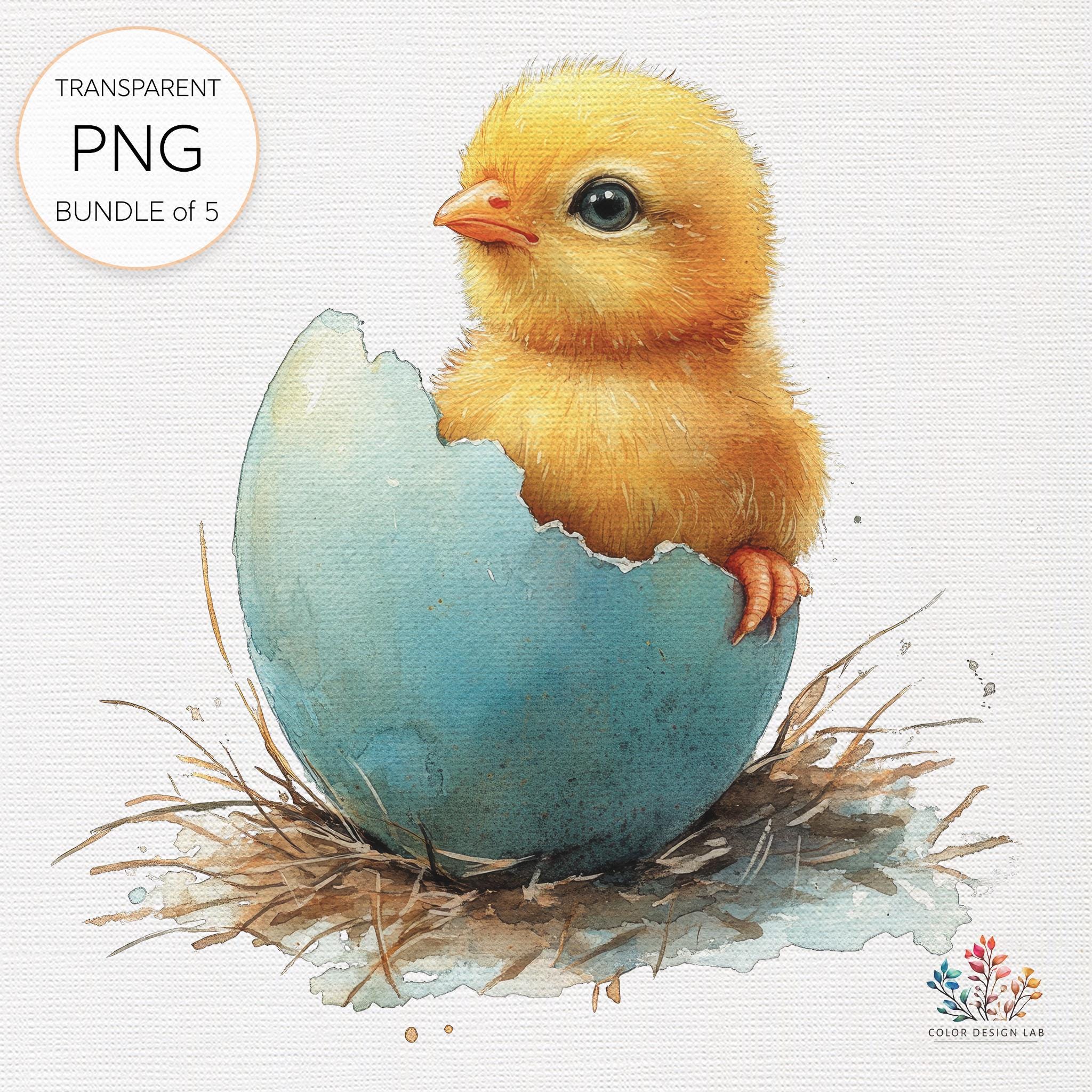 Easter Chick Watercolor Clipart Bundle: Spring Crafts PNG (digital ...