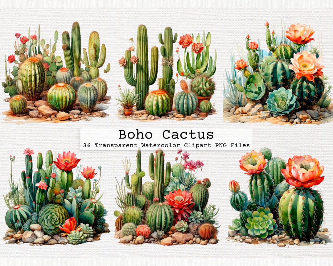 Boho Cactus Clipart Bundle of 36 Quality Transparent Watercolor Png ...