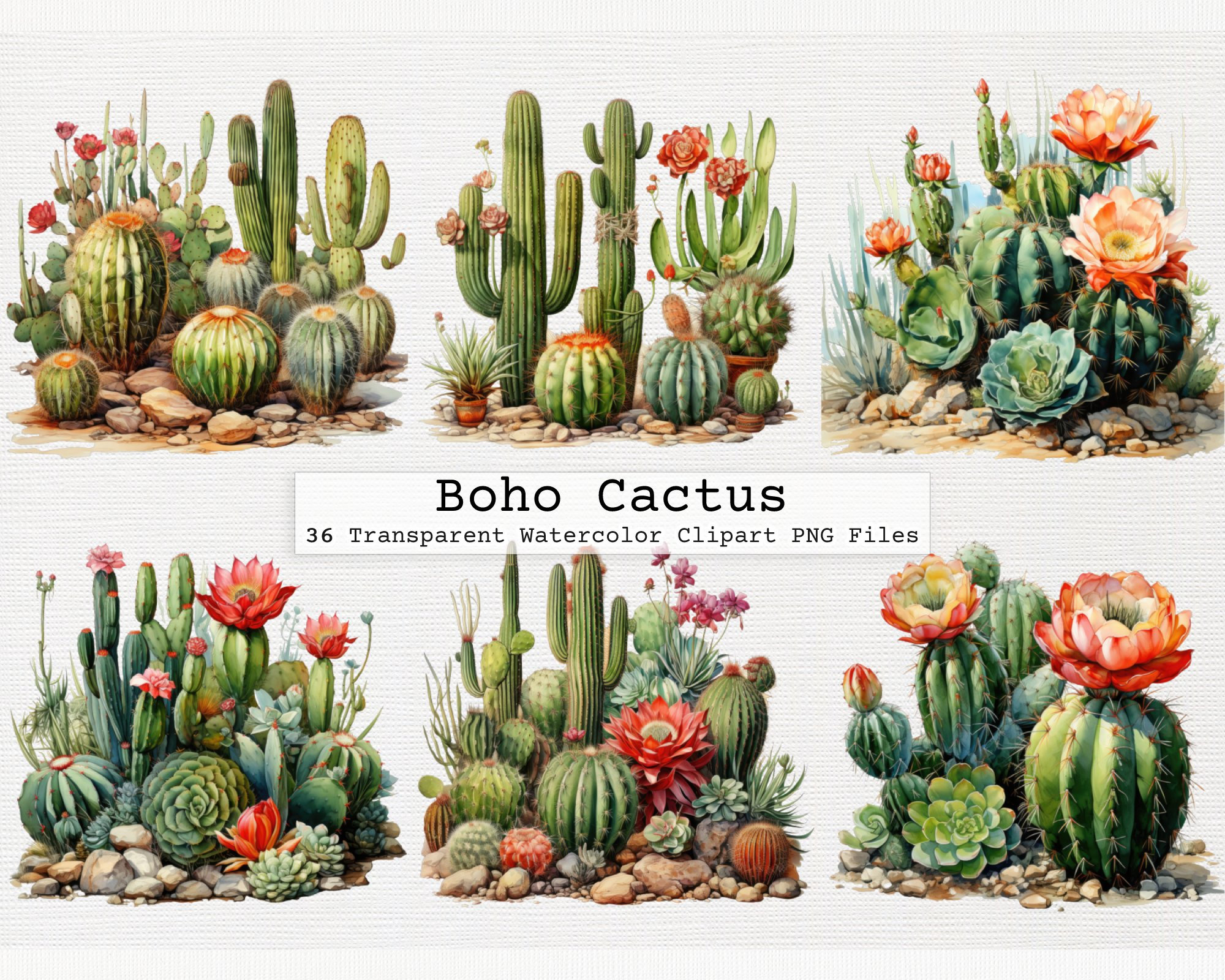 Boho Cactus Clipart Bundle of 36 Quality Transparent - Etsy