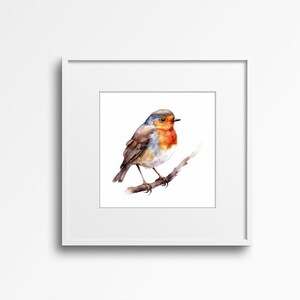 Robin Bird Clipart, 8 High Quality PNG Digital Images, Digital Download ...