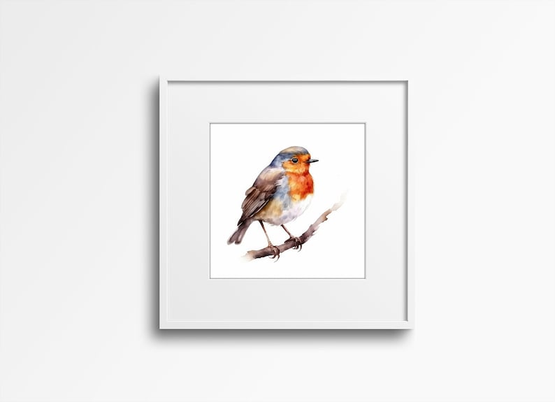 Robin Bird Clipart, 8 High Quality PNG Digital Images, Digital Download ...