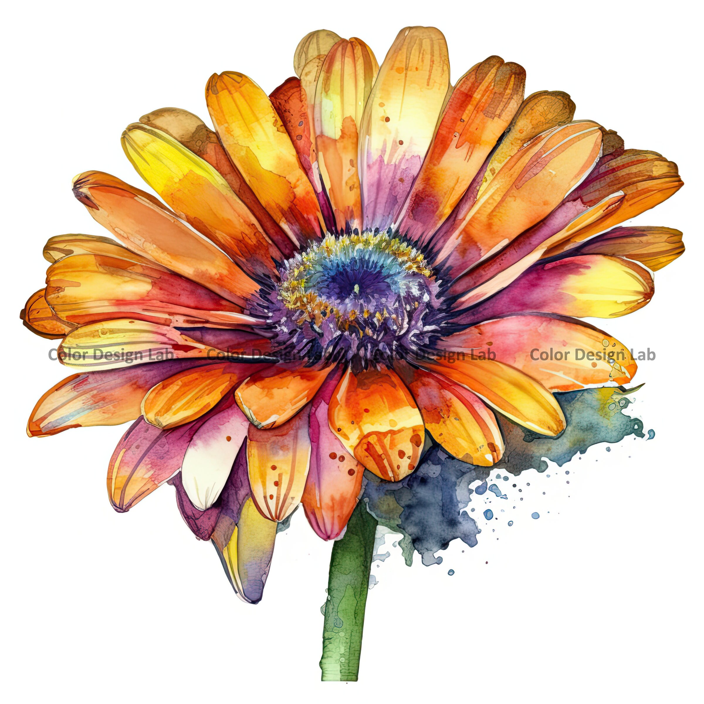 Daisy Flower Clipart Set of 12 High Quality Floral PNG - Etsy