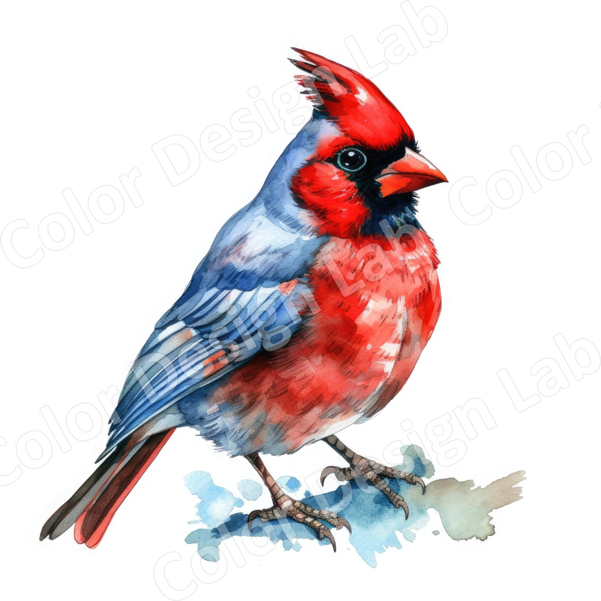 Red Cardinal Printable Clipart Set 8 High-resolution Pngs of - Etsy