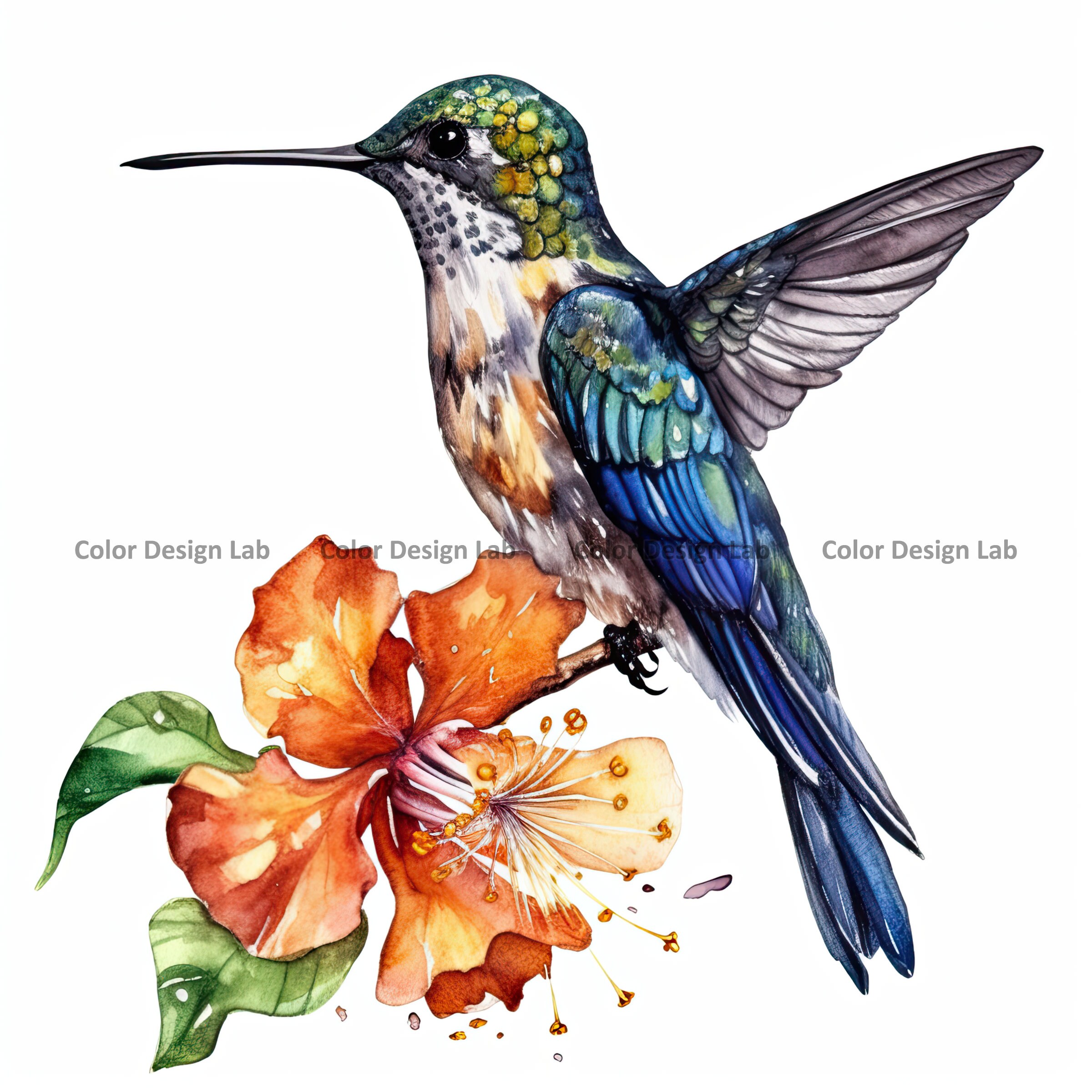Hummingbird With Flowers Clipart 12 High-quality PNG - Etsy
