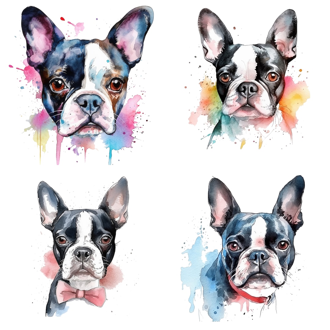 Boston Terrier Art Print, Boston Terrier Watercolor Clipart, Watercolor ...