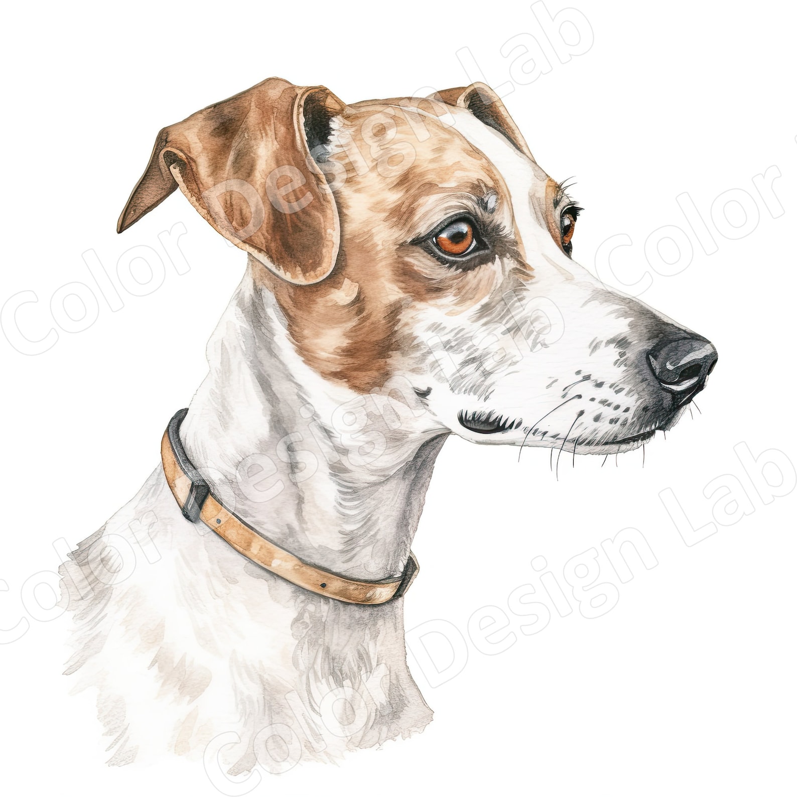 Whippet Clipart Design, Hand-drawn Sighthound Art, Sleek and Athletic ...