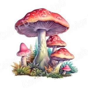 Forest Mushroom Clipart, Set of 8 High-resolution PNG Art Images ...