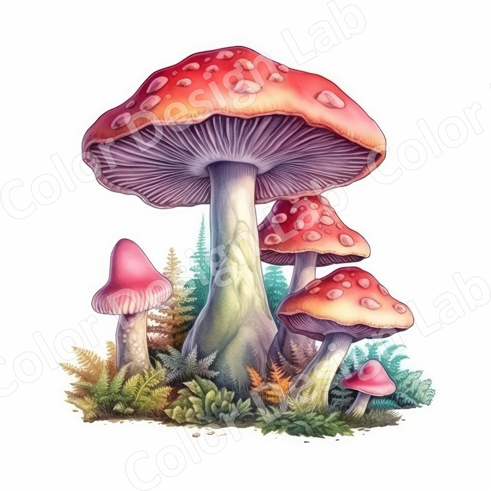 Forest Mushroom Clipart Set of 8 High-resolution PNG Art - Etsy