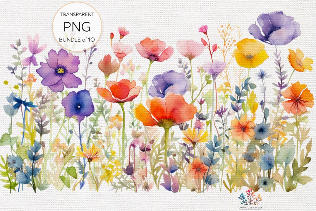 Watercolor Wildflowers Clipart Set: 10 Vibrant Design Elements ...