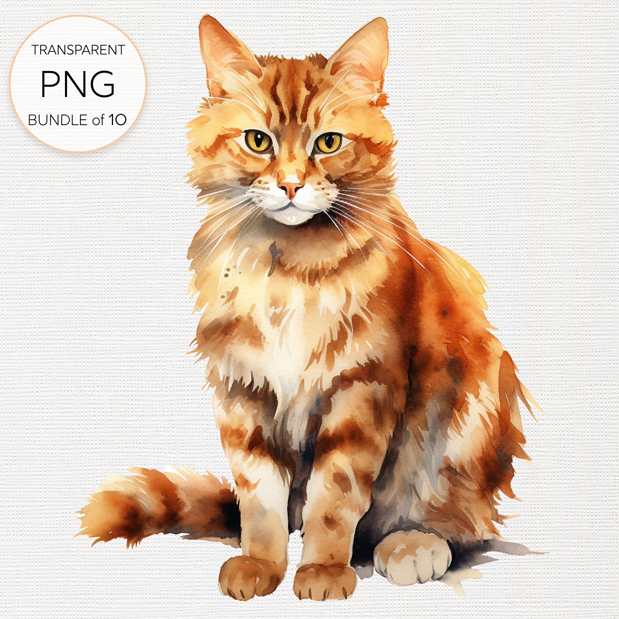 Brown Cat Clipart Image Hand-drawn Furry Feline Design - Etsy