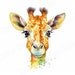 Cute Giraffe Clipart Bundle 8 High-resolution Pngs Digital - Etsy