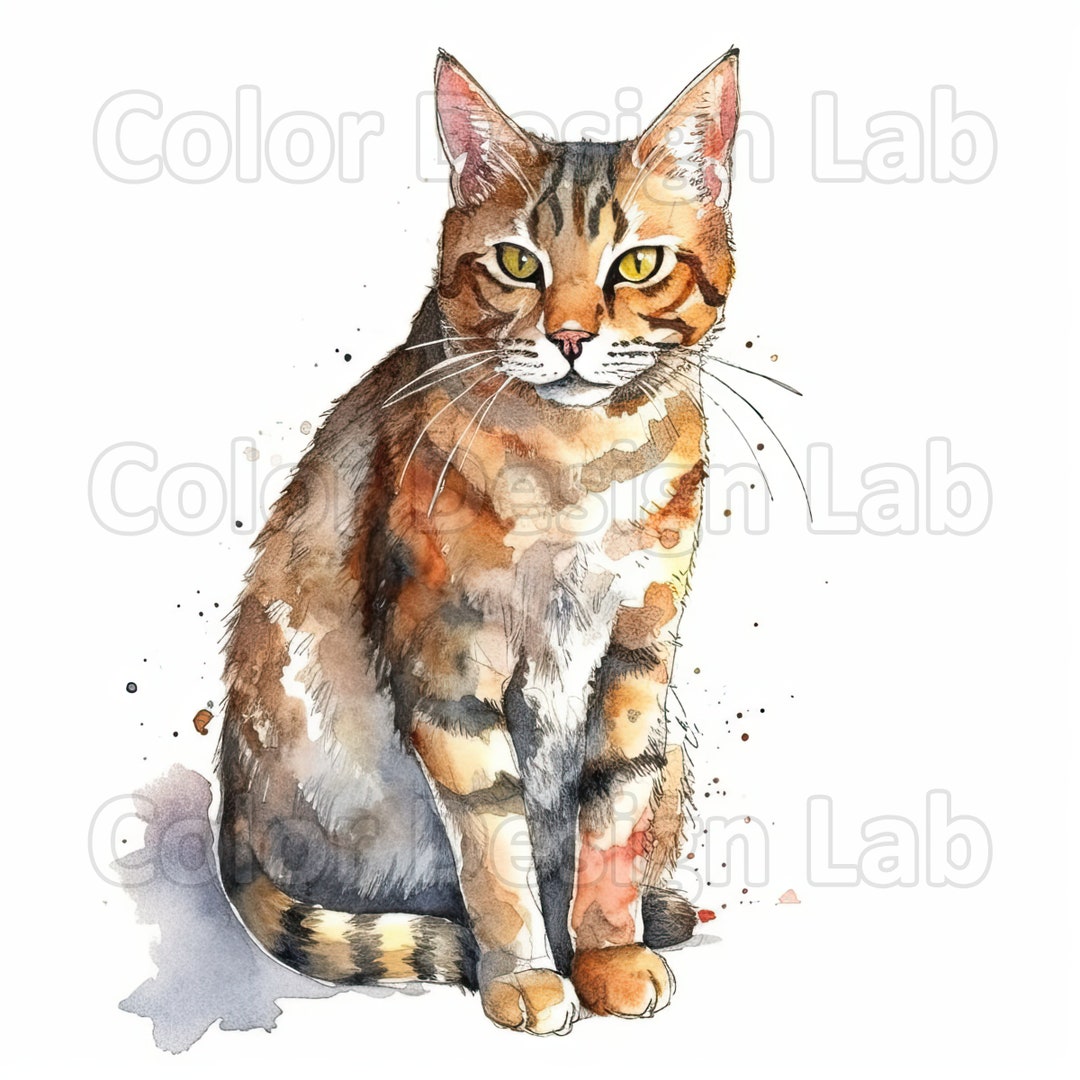 Tabby Cat Clipart Set 8 Printable Tabby Cat Png Digital Etsy