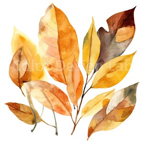Amber Autumn Leaves Clipart - 8 Printable Autumn Leaves PNG, High ...