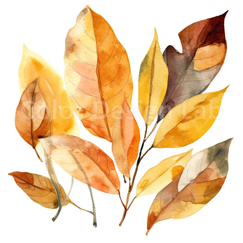 Amber Autumn Leaves Clipart 8 Printable Autumn Leaves PNG - Etsy
