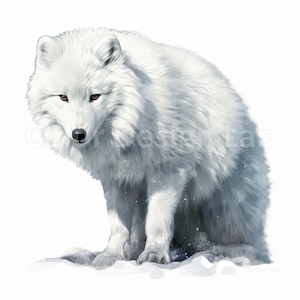 Happy Arctic Fox Clipart - Set of 8 Printable Art PNG, Digital Download ...