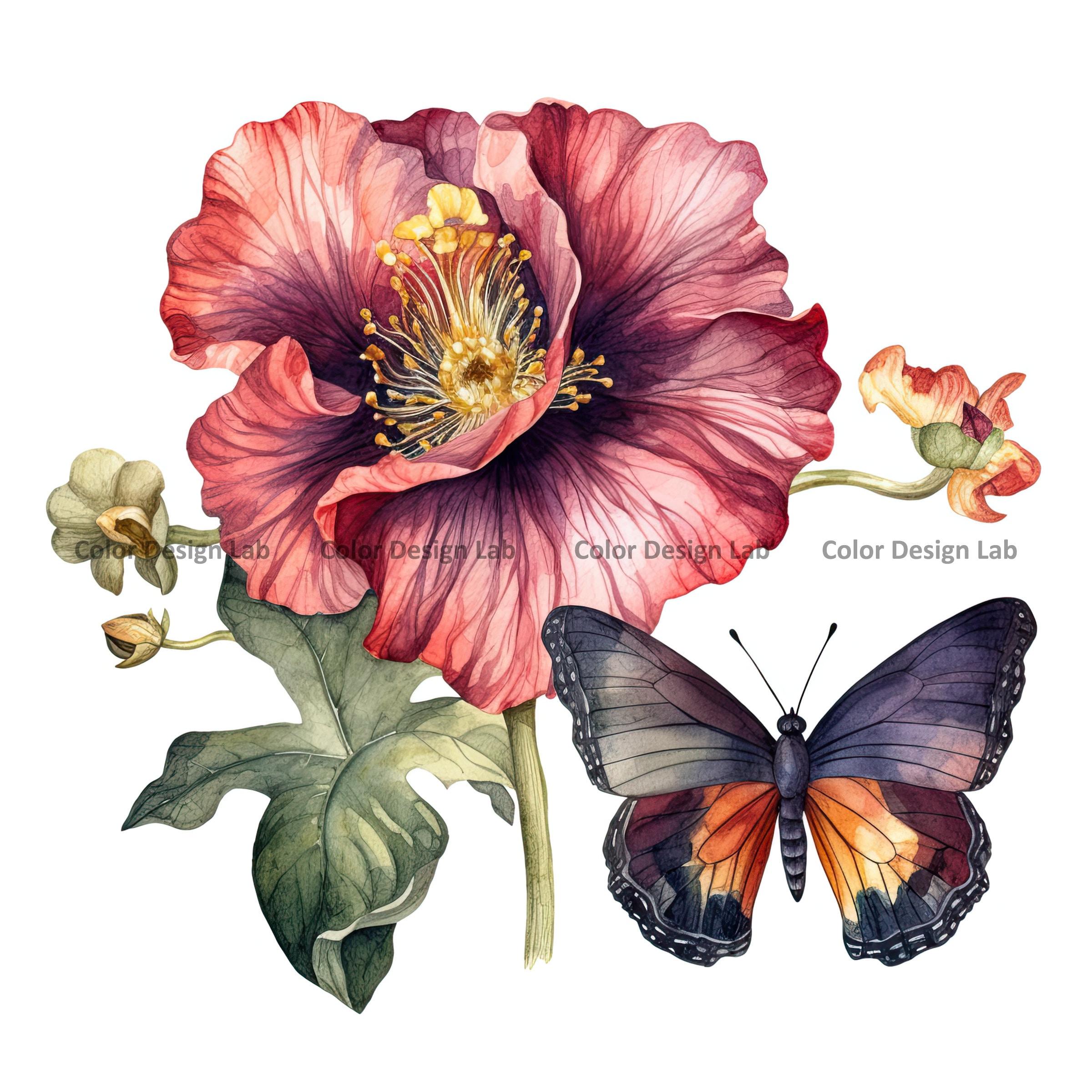 Flower and Butterfly Clipart Set of 12 High-quality Floral - Etsy