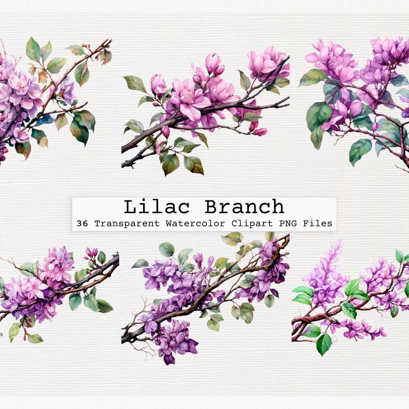 Lilac Bush - Etsy