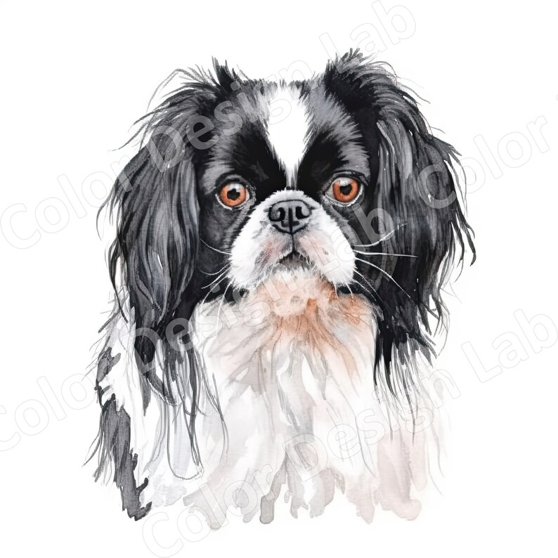 Composed Japanese Chin Clipart Set 8 Printable Images - Etsy