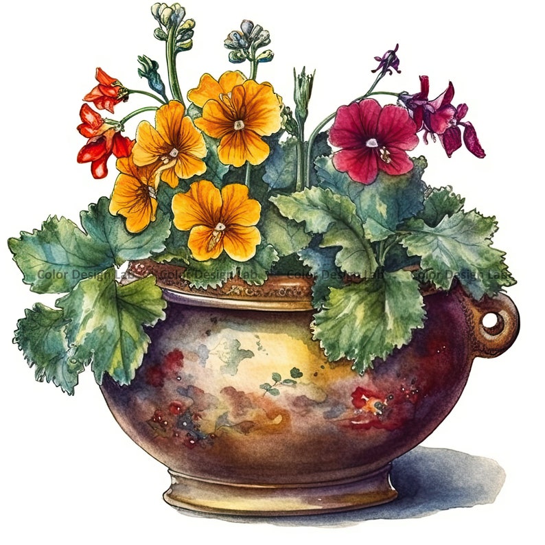 Pot With Flower Clipart Set of 12 High-quality Floral PNG - Etsy