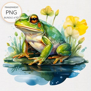 Frog on Lily Pad Clipart - Adorable Amphibian Illustration PNG, Pond ...