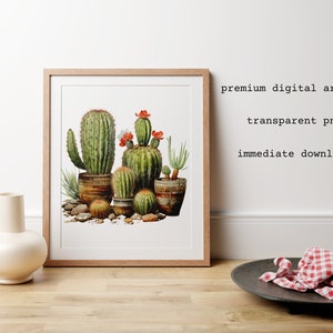 Boho Cactus Clipart Bundle of 36 Quality Transparent Watercolor Png ...