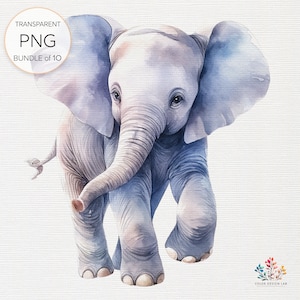 Cute Baby Elephant Clipart Collection: Set of 10 Transparent PNG ...