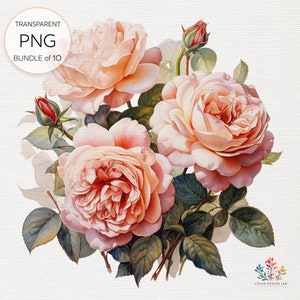 Vintage Heirloom Roses Clipart: Elegant Romantic Antique Rose ...