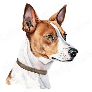 Inquisitive Basenji Printable Clipart Set, 8 High-resolution Dog Images ...