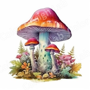 Forest Mushroom Clipart, Set of 8 High-resolution PNG Art Images ...