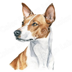 Inquisitive Basenji Printable Clipart Set, 8 High-resolution Dog Images ...