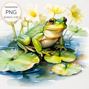 Frog on Lily Pad Clipart - Adorable Amphibian Illustration PNG, Pond ...